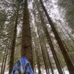 Tromsø: Forest escape adventure - The Itinerary Breakdown
