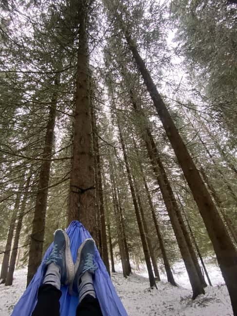 Tromsø: Forest escape adventure - The Itinerary Breakdown