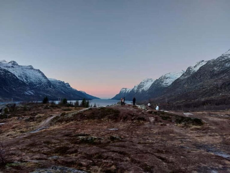 Tromsø: Island of Kvaløya Scenic Sightseeing Minibus Tour - Why This Tour Is Worth It