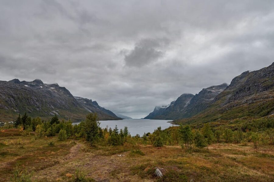 Tromsø: Kvaløya & Sommarøy Guided Tour - The Sum Up