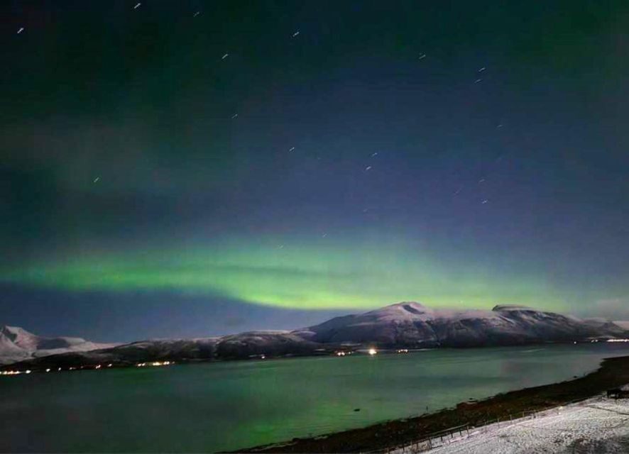 Tromsø: Lyngen Horse Winter Evening Riding Experience - What’s Included & What’s Not
