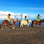 Tromsø: Lyngen Horse Winter Riding Experience - Final Thoughts