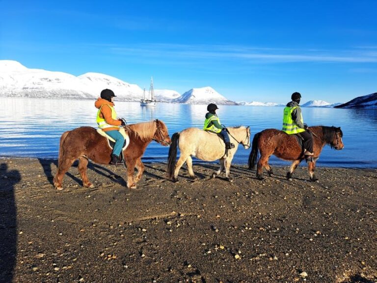 Tromsø: Lyngen Horse Winter Riding Experience - Final Thoughts