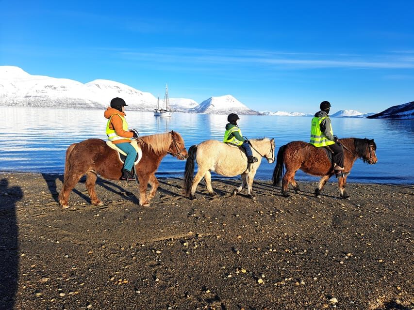 Tromsø: Lyngen Horse Winter Riding Experience - Final Thoughts