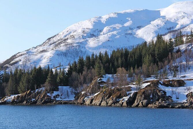 Tromsø, Northern Lights and Wilderness Evening Catamaran Cruise - The Journey Breakdown