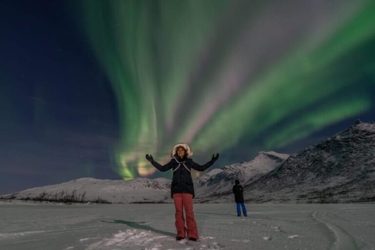 Tromsø: Northern Lights Chase by a comfortable bus - Final Thoughts