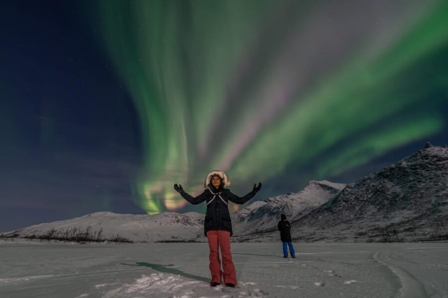 Tromsø: Northern Lights Chase by a comfortable bus - Final Thoughts