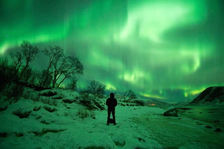Tromsø: Northern Lights Hunt in French with Photographer - The Practicalities: What’s Included and What to Bring