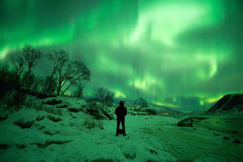 Tromsø: Northern Lights Hunt with Professional Photographer in Italian - The Experience in Detail