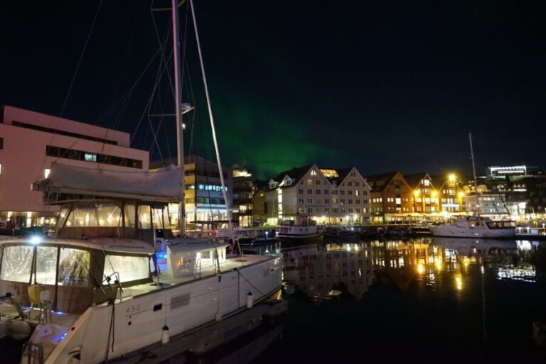 Tromsø: Northern Lights Luxury Catamaran Cruise - Practical Tips for Travelers