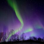 Tromso: Northern Lights Minibus Tour with Campfire - The Sum Up
