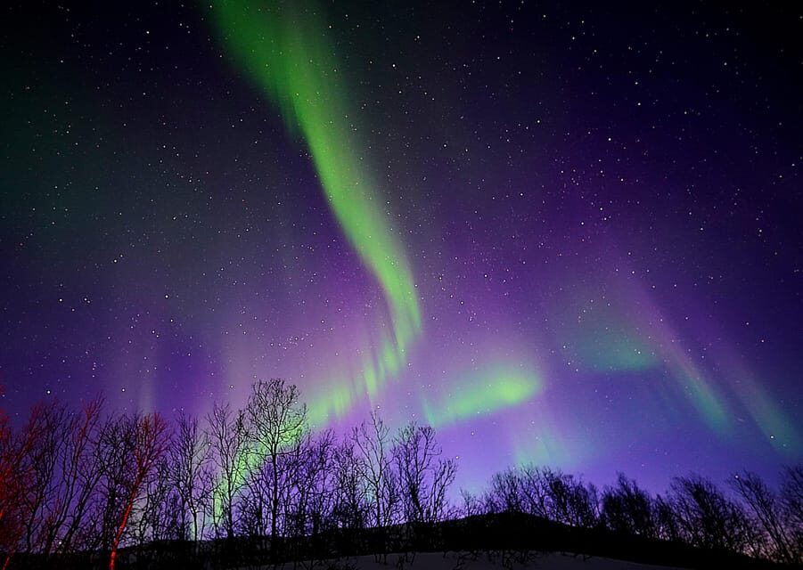 Tromso: Northern Lights Minibus Tour with Campfire - The Sum Up