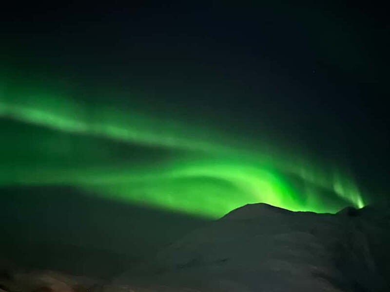 Tromsø: Northern Lights Tour - Who Will Love This Experience?
