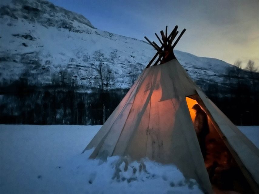 Tromsø: Reindeer Experience at a Sami Camp - A Deep Dive into the Reindeer Experience