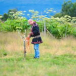 Tromsø: Reindeer Feeding and Sami Culture Tour with Lunch - FAQ