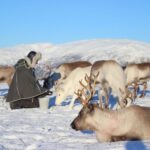 Tromsø: Reindeer Ranch and Sami Cultural Tour with Lunch - What’s Included & What to Keep in Mind