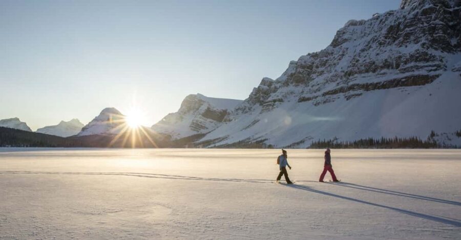 Tromsø: Snowshoeing in Scenic Landscape - What the Tour Includes and the Experience