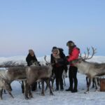 Tromsø: Snowshoeing with Reindeer - Key Points