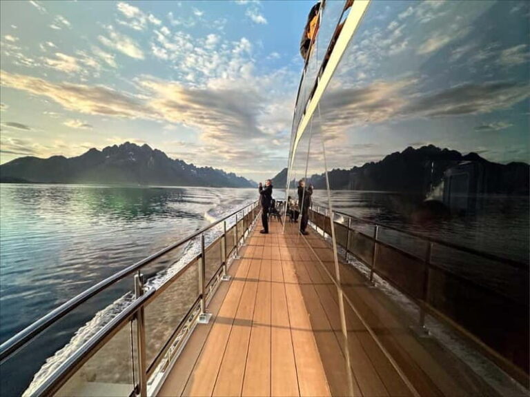 Tromsø: Summer Arctic Light Cruise with a Guide - Wildlife and Birdlife – Keep Your Eyes Open