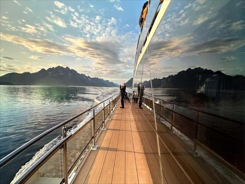 Tromsø: Summer Arctic Light Cruise with a Guide - Wildlife and Birdlife – Keep Your Eyes Open