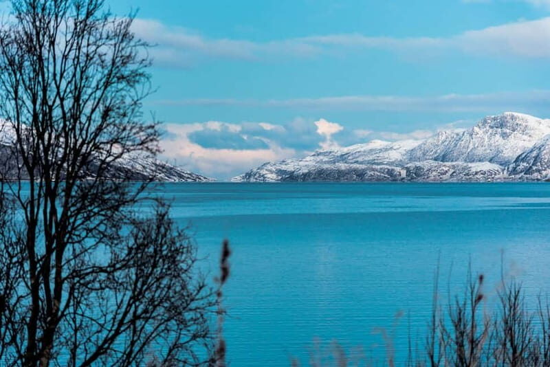 Tromso: Visit 5 Fjords in 4 hours - The Value Proposition