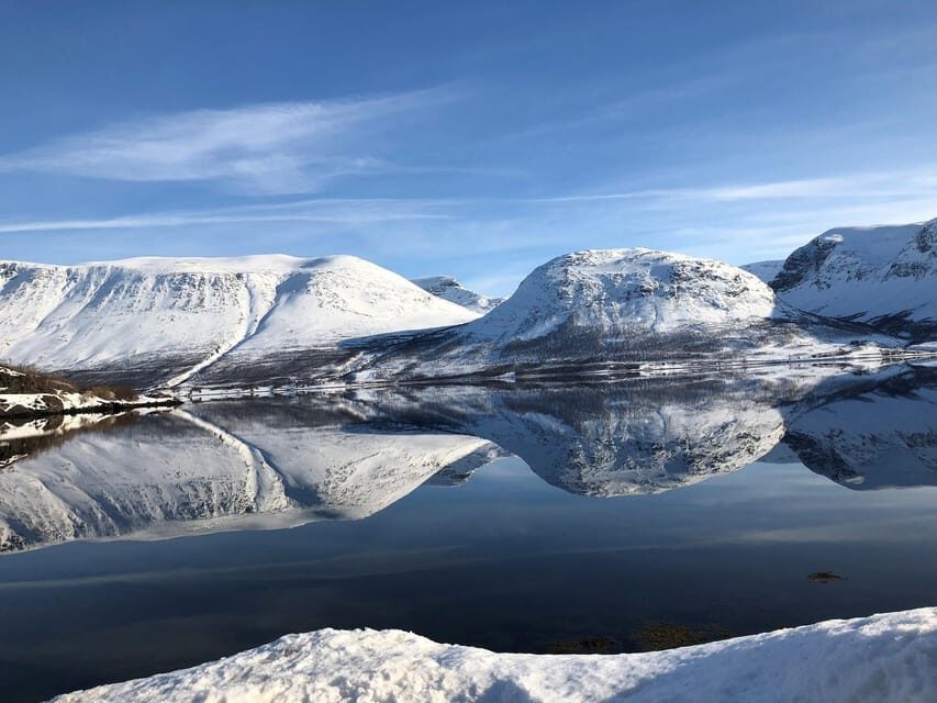 Tromsø Whale Safari with MS Keiser Wilhelm - Who Will Love This Experience?