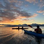Tromsø: Winter Sea Kayaking Tour with Wildlife Sightings - The Sum Up