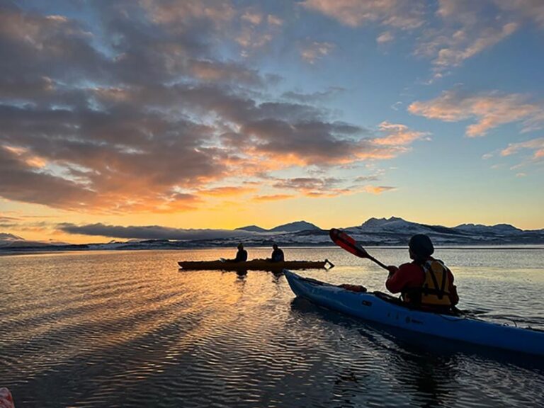 Tromsø: Winter Sea Kayaking Tour with Wildlife Sightings - The Sum Up