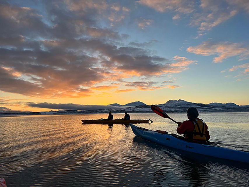 Tromsø: Winter Sea Kayaking Tour with Wildlife Sightings - The Sum Up