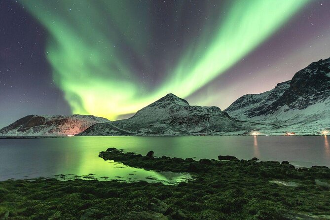 Tromsø: Winter Snowshoeing with Wandering Owl - Key Points