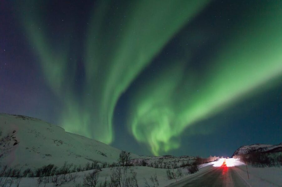 Tromsø:Northern light tour with mini bus i Tromsø - Practical Details and Considerations