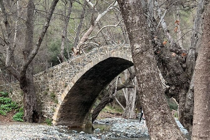 Troodos Mountains Jeep Tour with Wine Tasting - Key Points