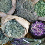 Troodos Villages and Kykkos Monastery from Paphos in Polish - Practical Details That Matter