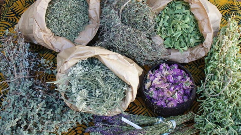 Troodos Villages and Kykkos Monastery from Paphos in Polish - Practical Details That Matter