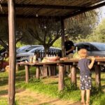 Tropea: Wine and Food Tasting - Why This Tour Works for Travelers