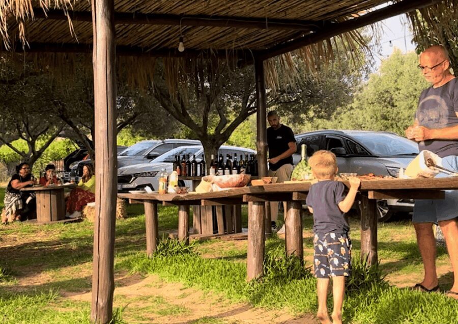 Tropea: Wine and Food Tasting - Why This Tour Works for Travelers