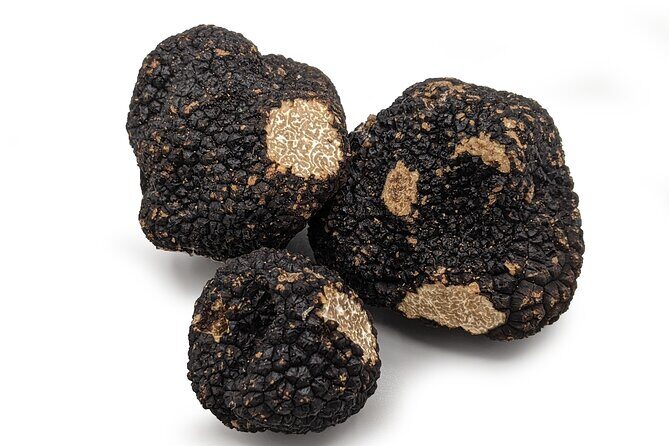 Truffle Cavage Demonstration - Who Will Enjoy This Tour?