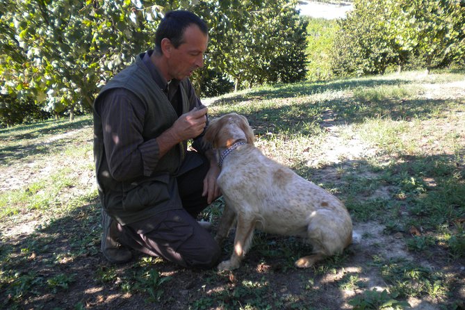 Truffle Hunt & Wine Tasting - An In-Depth Look at the Experience