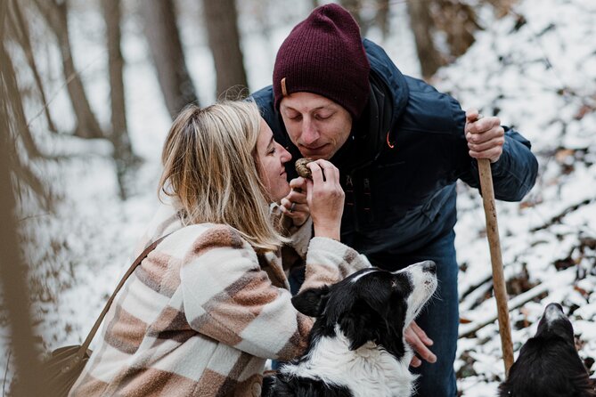 Truffle Hunting and Cheese, Truffle & Wine Tasting near Alba - Key Points