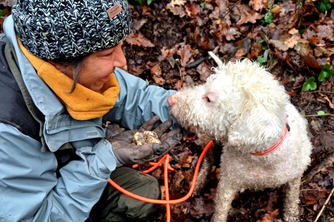 Truffle Hunting and Lunch in Piedmont Trattoria - Introduction