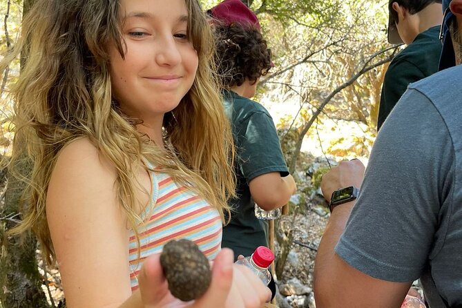 Truffle Hunting, Culinary & Wine Celebration from Elounda - Key Points