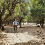 Truffle Hunting, Culinary & Wine Celebration from Heraklion - What’s the Real Value?