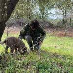 Truffle hunting experience with lunch and Chianti wine tasting - Is It Worth the Price?