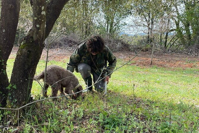 Truffle hunting experience with lunch and Chianti wine tasting - Is It Worth the Price?