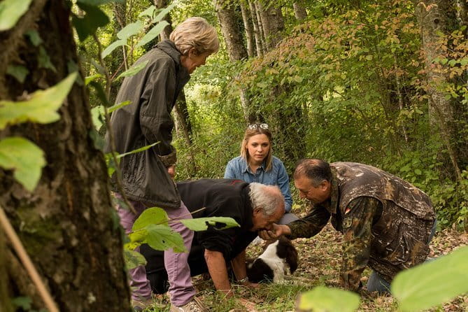 Truffle hunting + gourmet tasting (transfer included) - Key Points