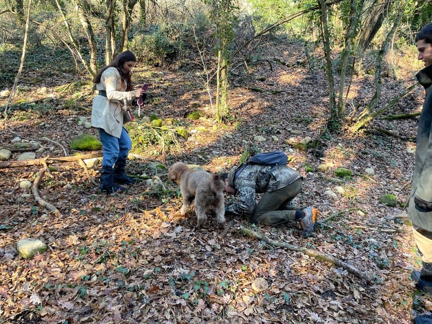 Truffle hunting in Chianti with pasta cooking class & lunch - Who Will Love This Tour?