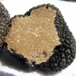 Truffle hunting in Istria private experience - An Introduction to Istria’s Truffle Adventure