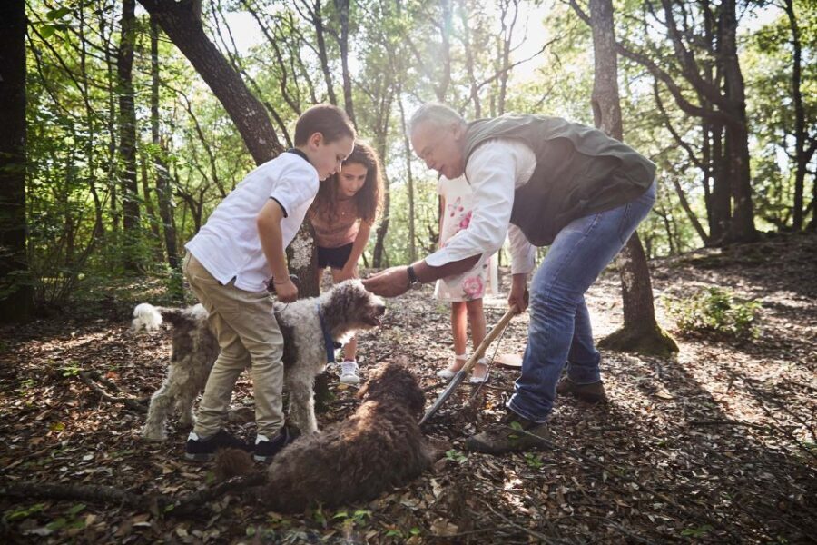 Truffle Hunting In The Hills Of Tuscany - The Logistics of the Day