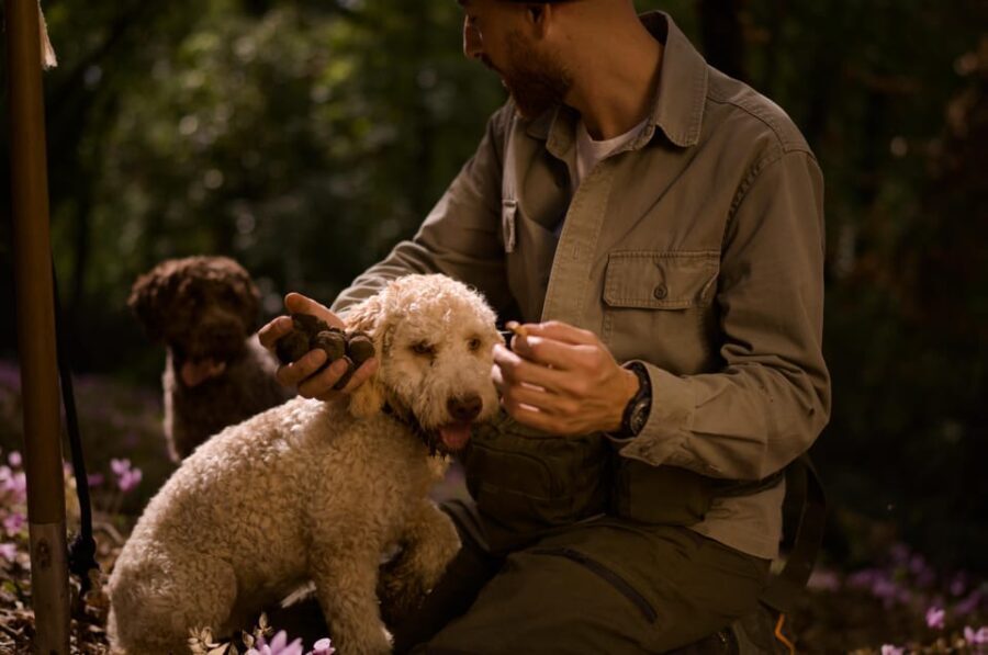 Truffle Hunting, Lunch & Cooking Class in Rome's Countryside - A Deeper Look at the Experience