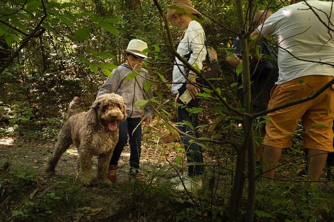 Truffle Picking Experience with 3 Course Meal in Chianti hills - Introduction